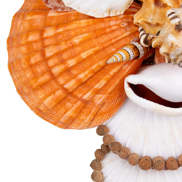 Shell Masks | Casa Branca