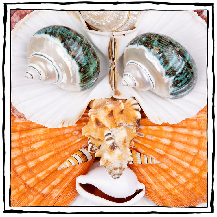 Shell Masks | Casa Branca
