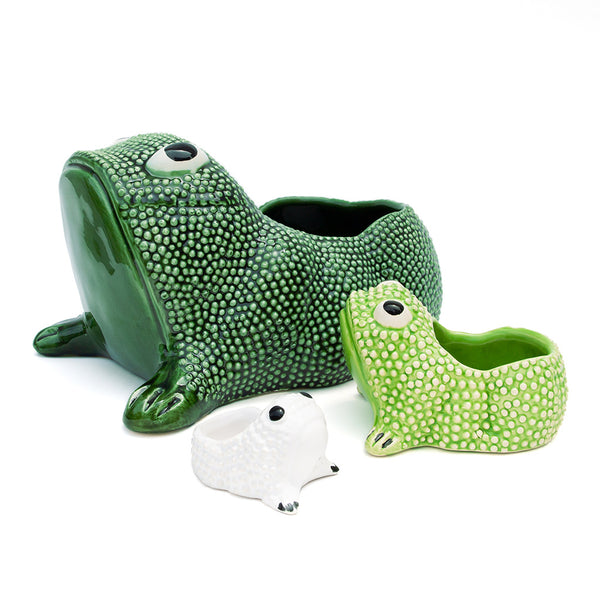 Large Ceramic Frog Cachepot | Casa Branca