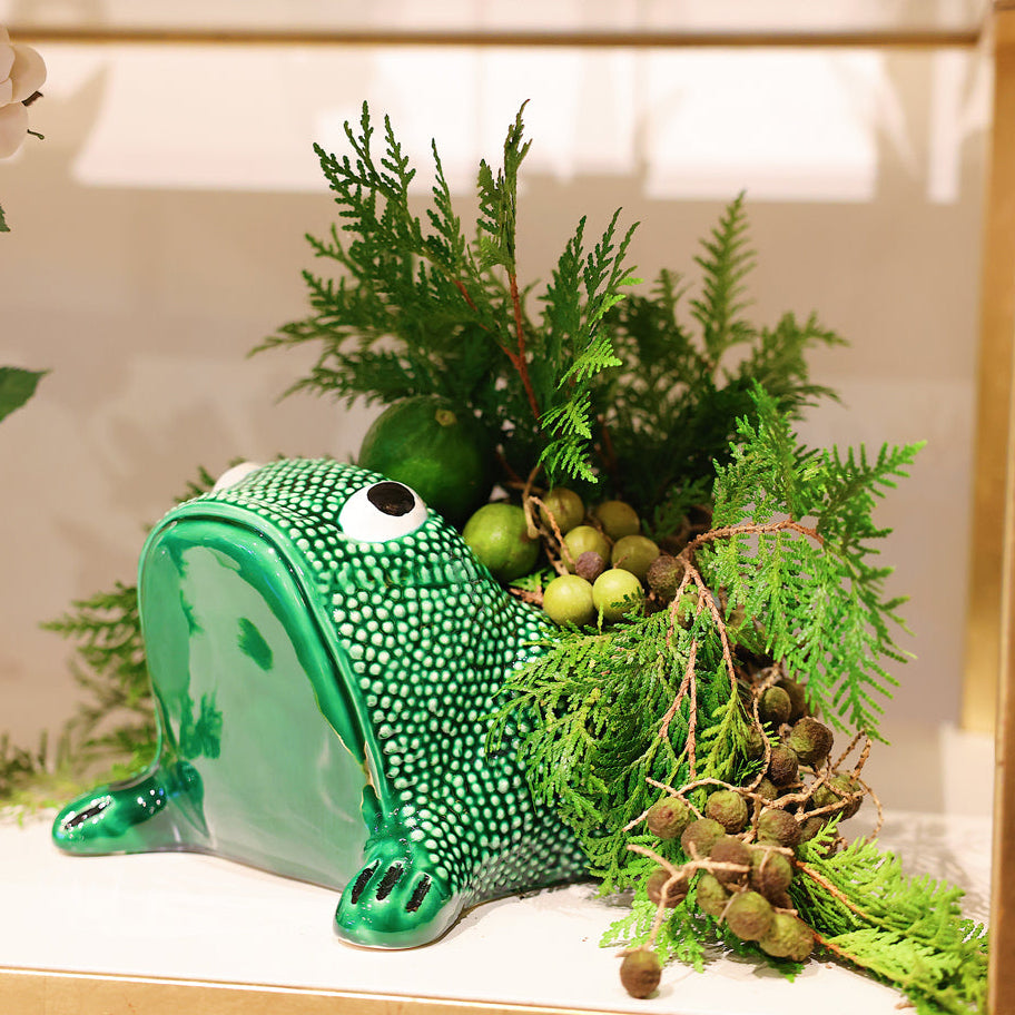 Large Ceramic Frog Cachepot – Casa Branca