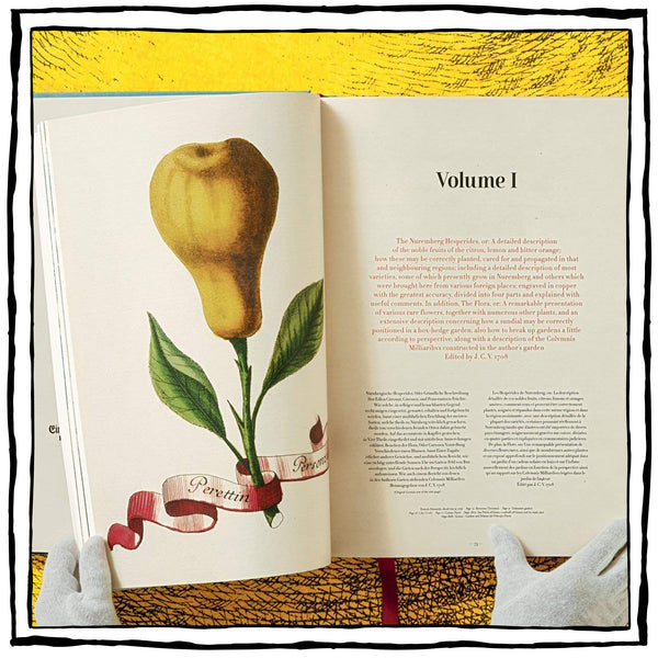 The Book of Citrus Fruits | Casa Branca